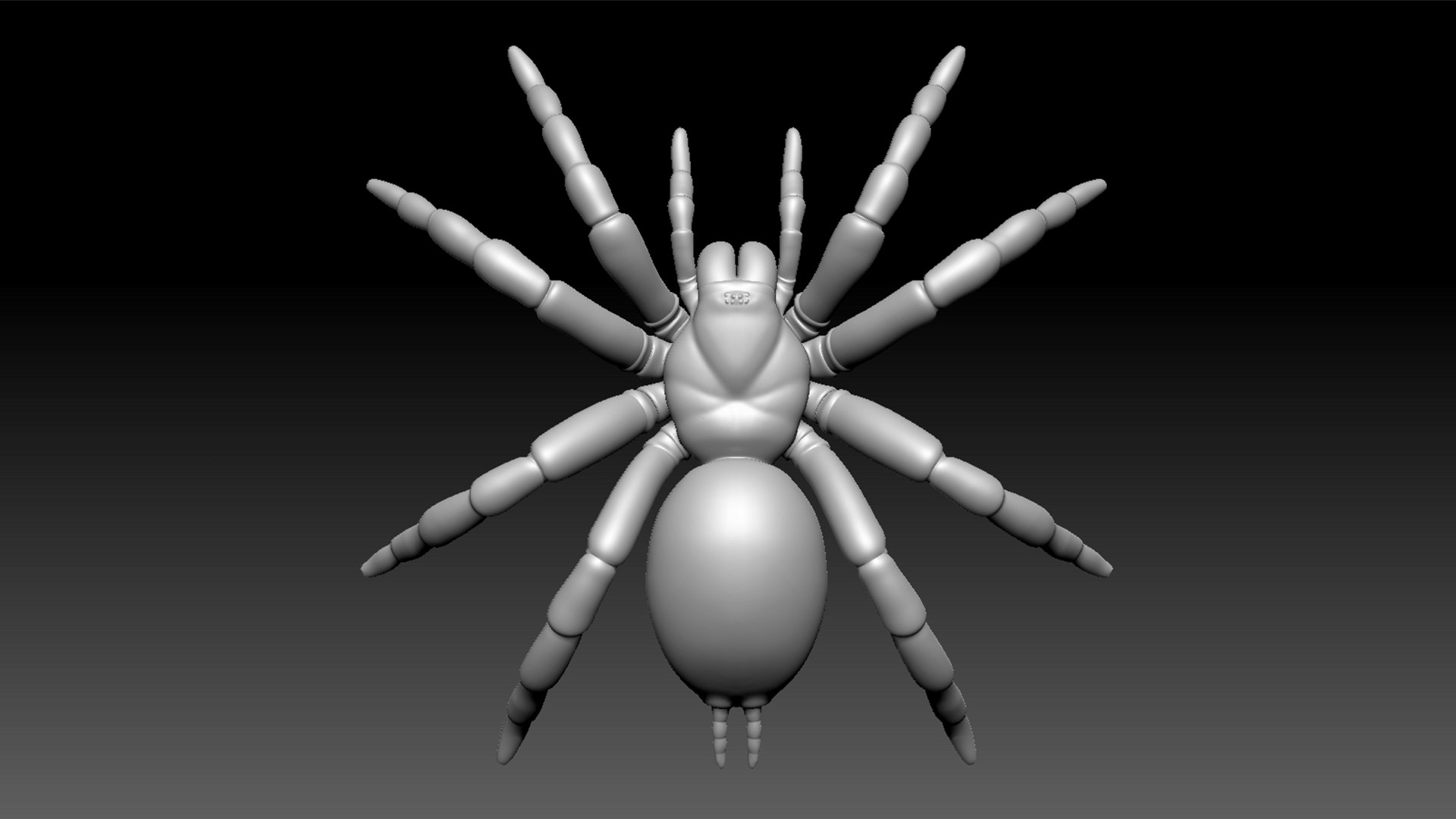 Tarantula Model - TurboSquid 2150308