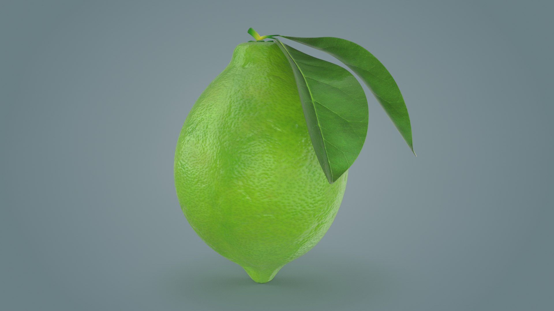 Lime Collection 3D Model - TurboSquid 2001175