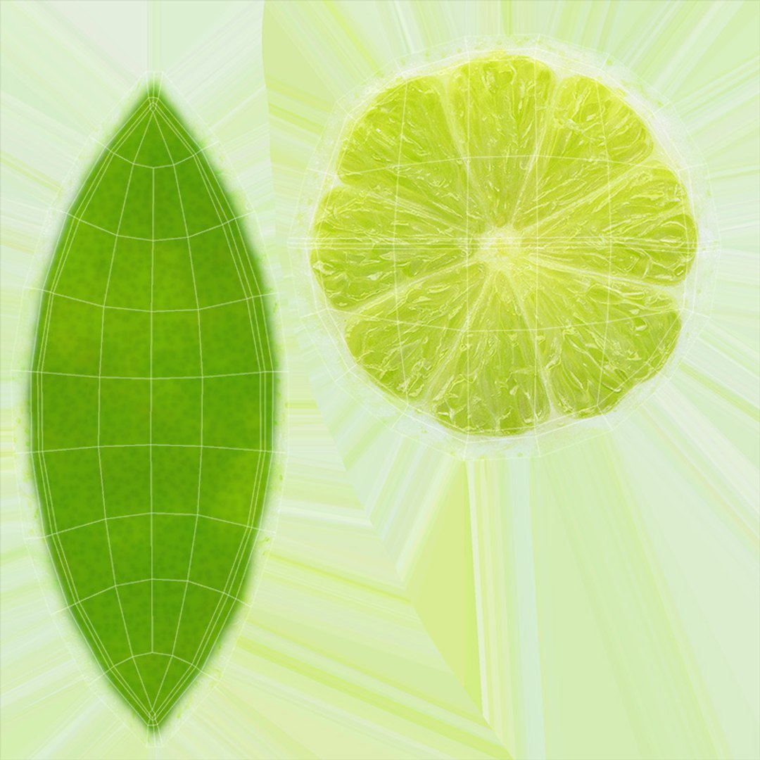 Lime Collection 3D Model - TurboSquid 2001175