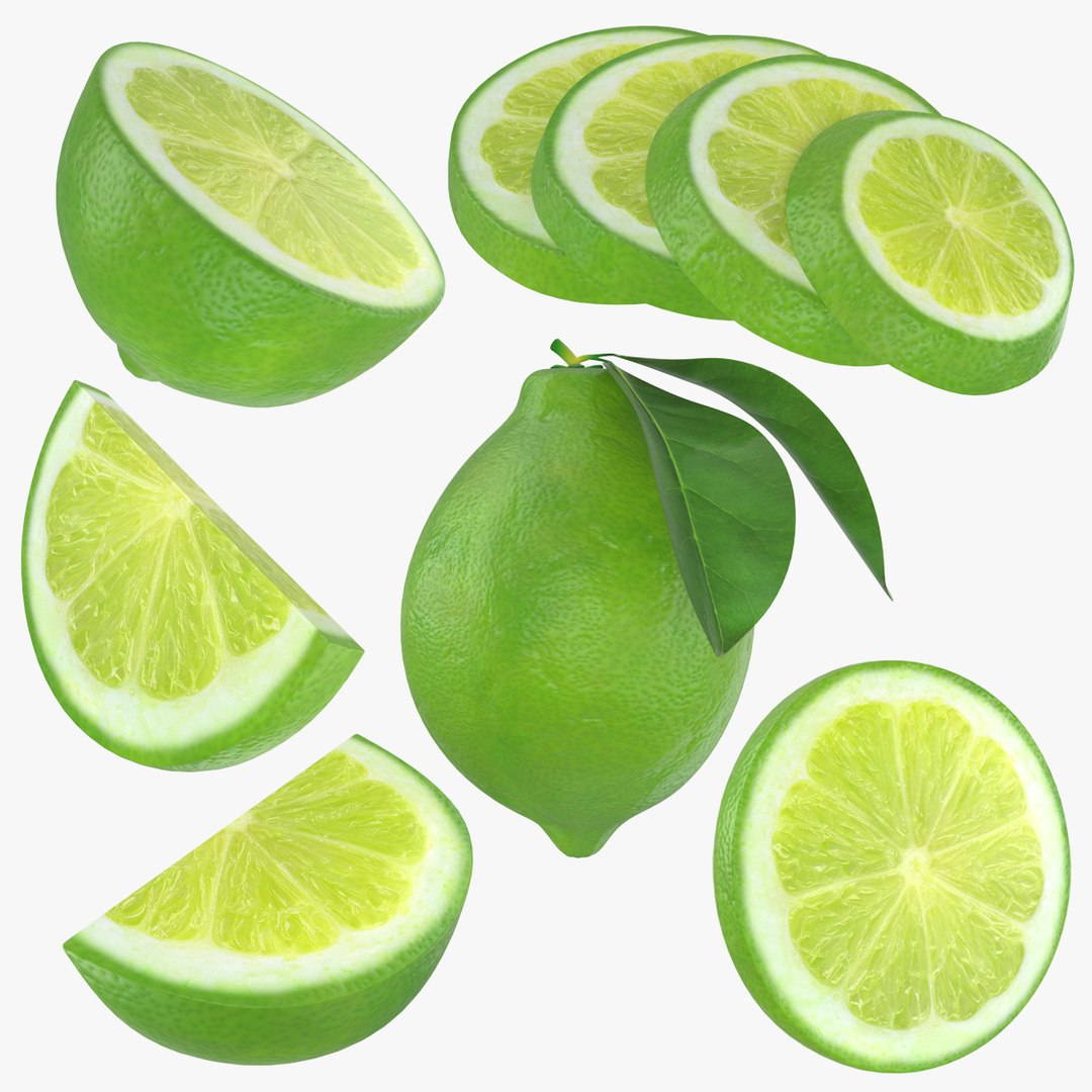 Lime Collection 3D model - TurboSquid 2001175