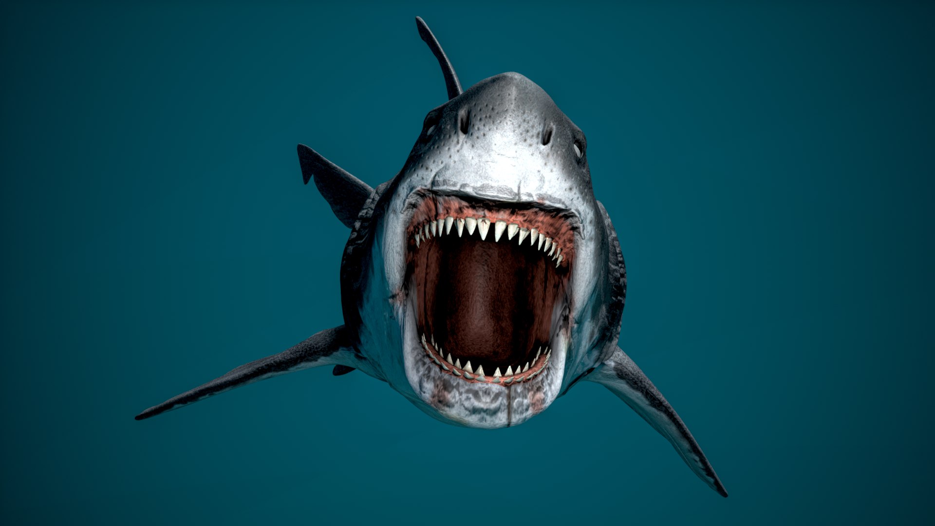 3D Great White Shark Rigged Animated Scary Realistic Low Poly Orca ...