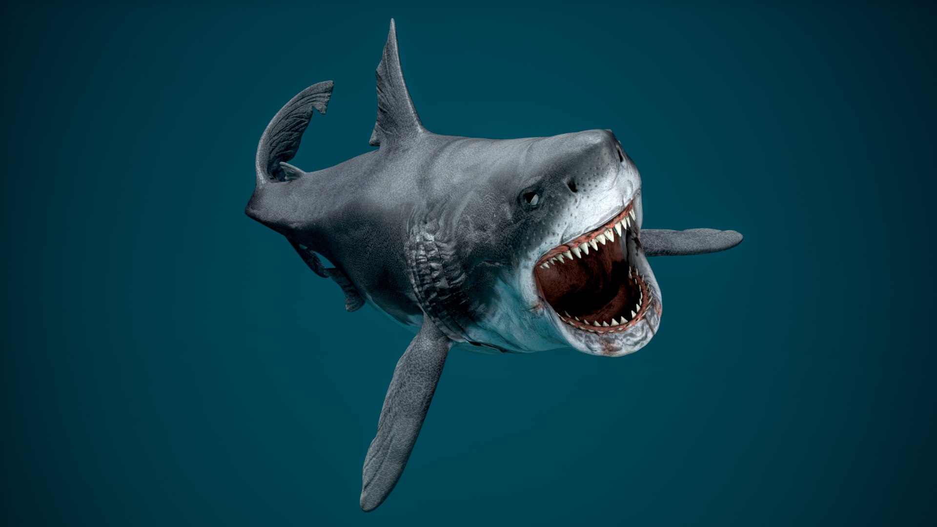 3D Great White Shark Rigged Animated Scary Realistic Low Poly Orca ...