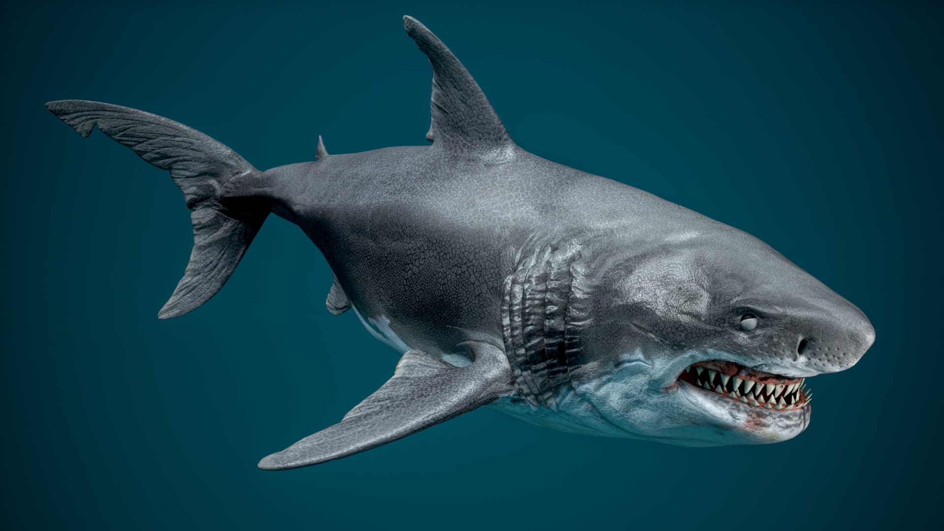 3D Great White Shark Rigged Animated Scary Realistic Low Poly Orca ...