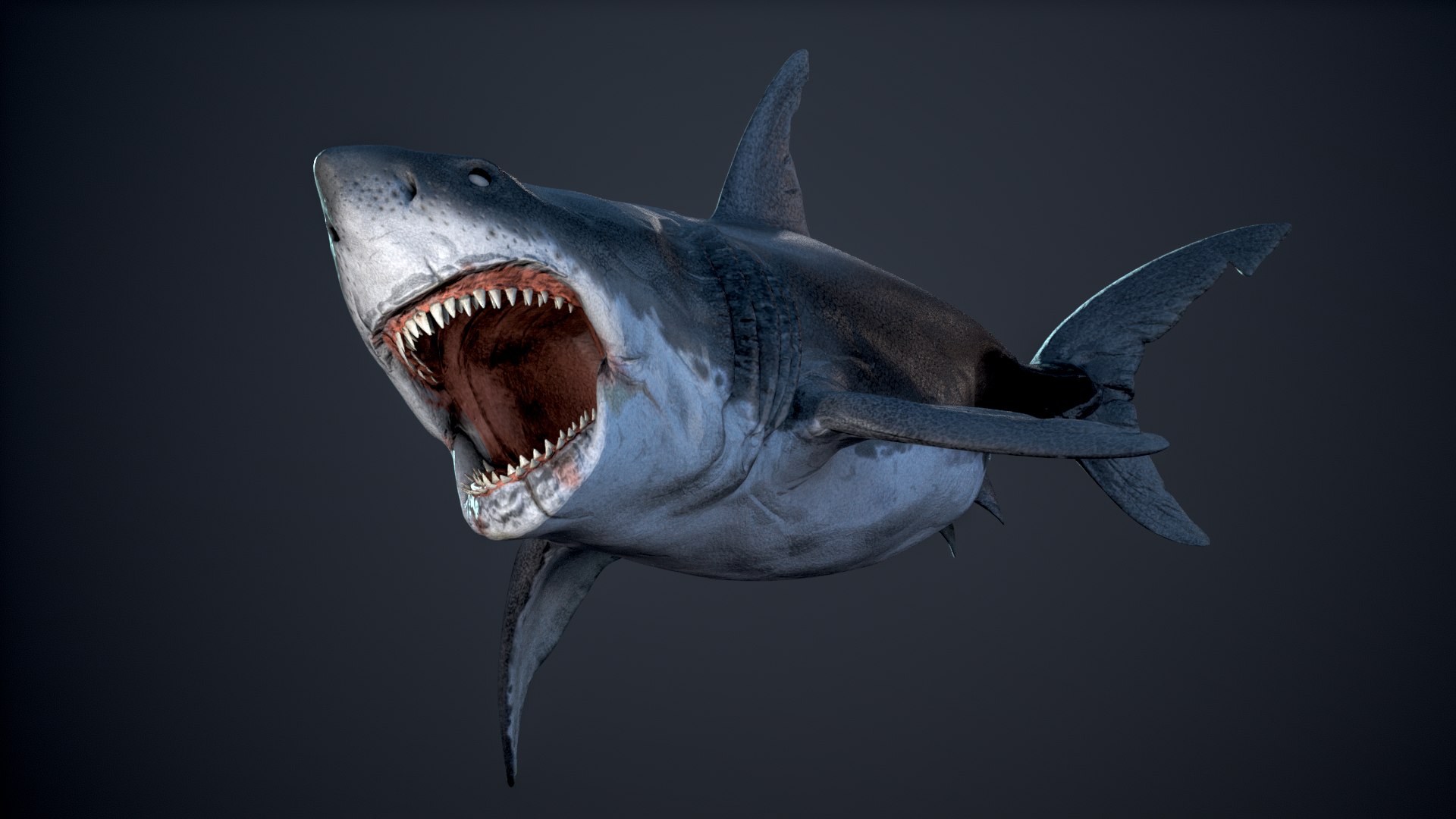 3D Great White Shark Rigged Animated Scary Realistic Low Poly Orca ...