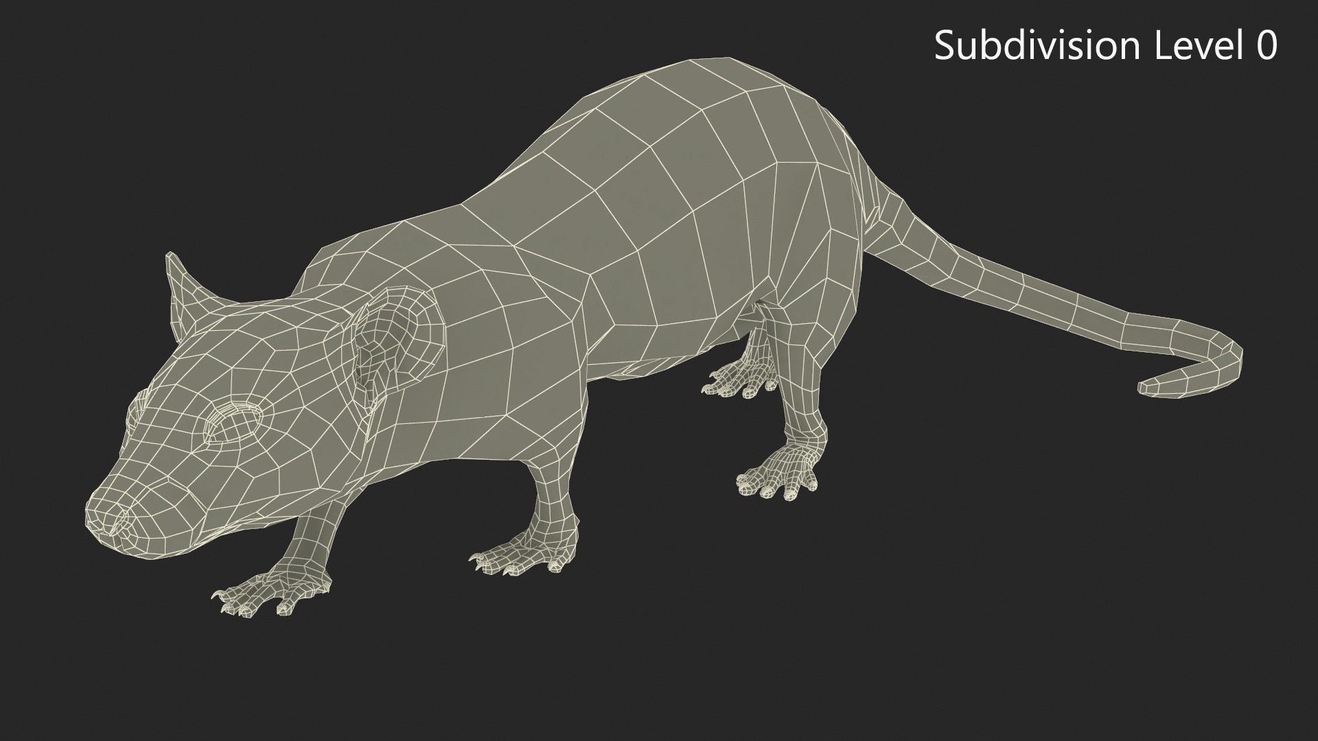 3D Realistic White Rat With Fur - TurboSquid 2302339