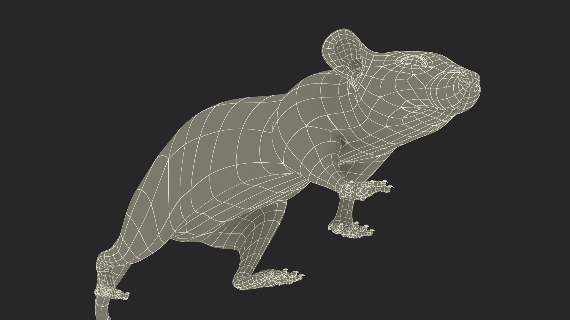 3D Realistic White Rat With Fur - TurboSquid 2302339