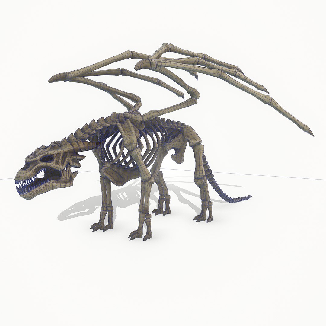 Skeleton Dragon Model - TurboSquid 1237172