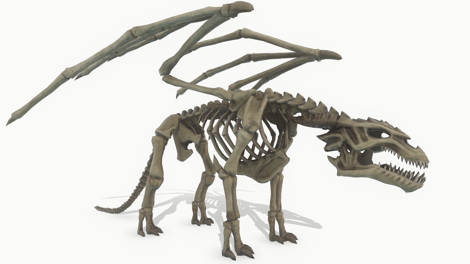 Skeleton Dragon Model - TurboSquid 1237172