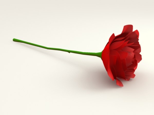 3D 3ds Max Rose Valentine Calipso