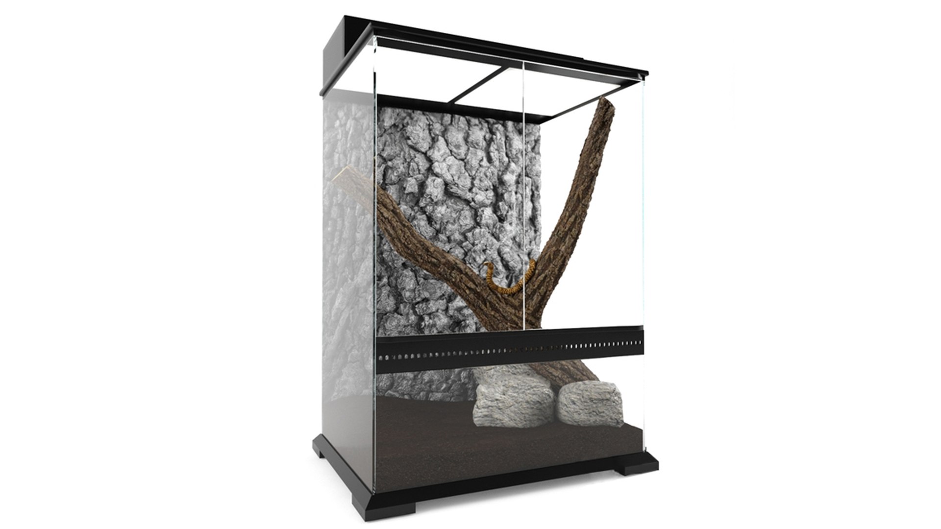 Terrarium With A Snake 3D model - TurboSquid 1845457