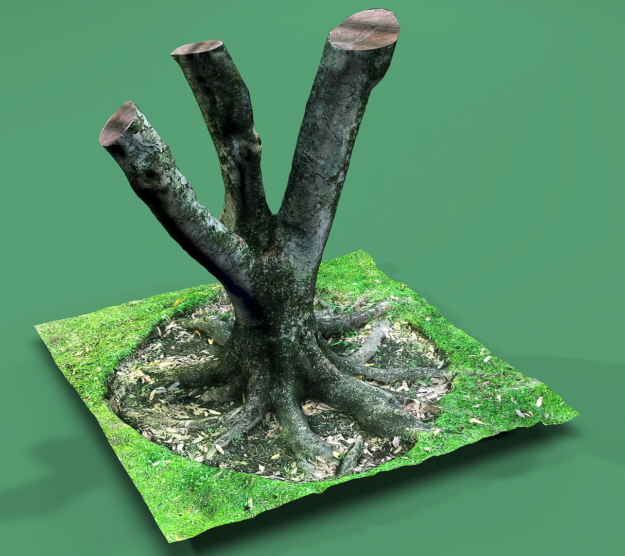 3D tree trunk model - TurboSquid 1413933