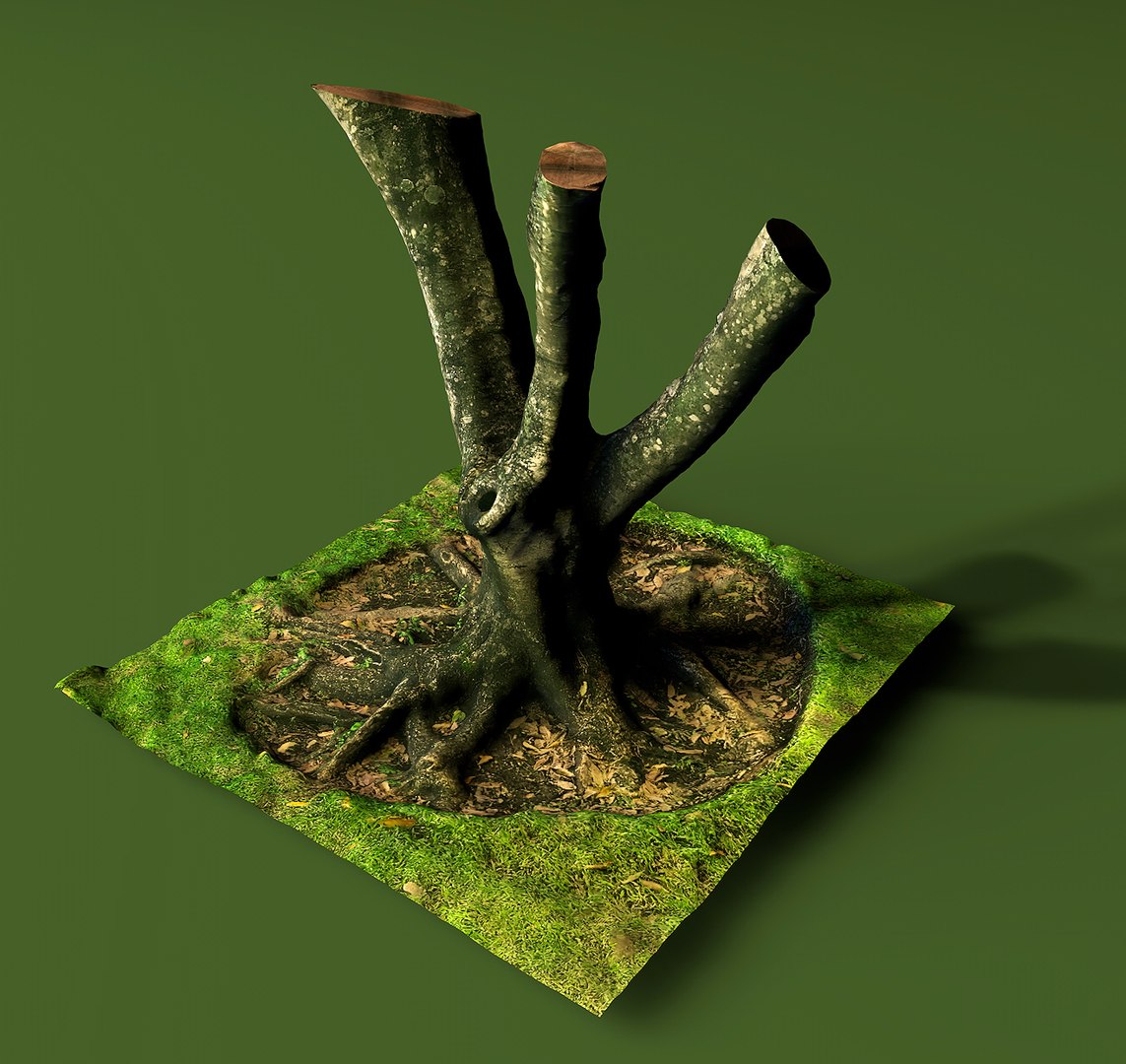 3D tree trunk model - TurboSquid 1413933