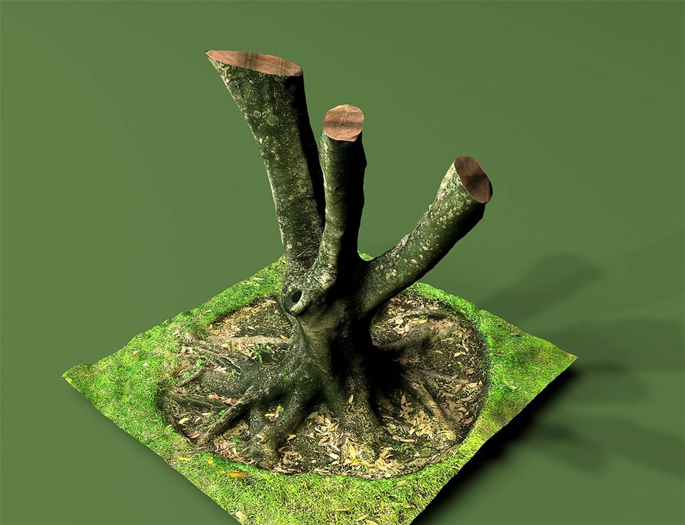 3D tree trunk model - TurboSquid 1413933