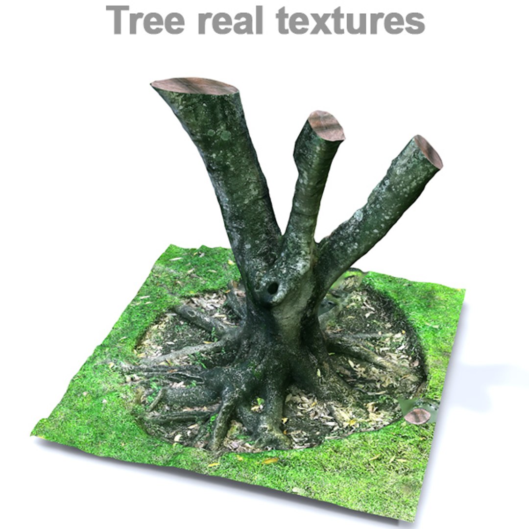3D tree trunk model - TurboSquid 1413933