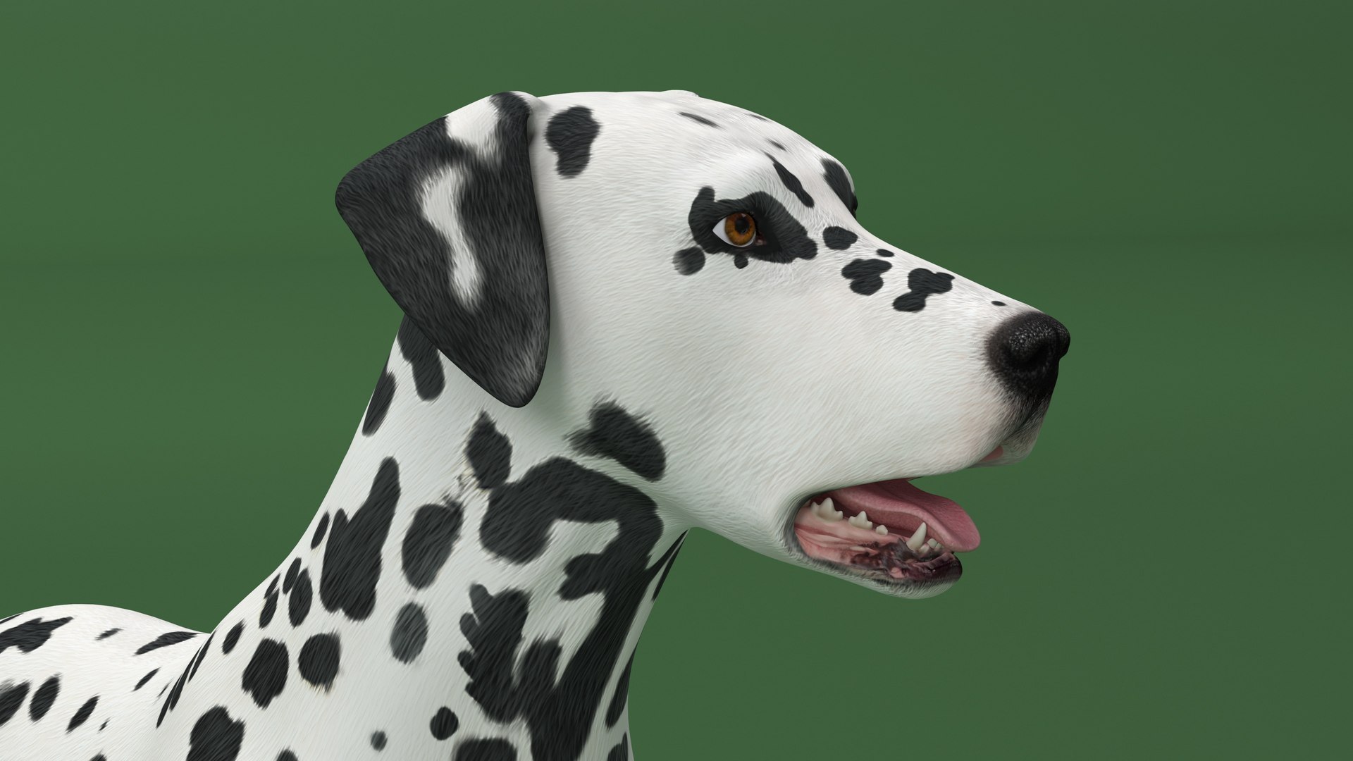 Dogs Collection 3D Model - TurboSquid 2249072
