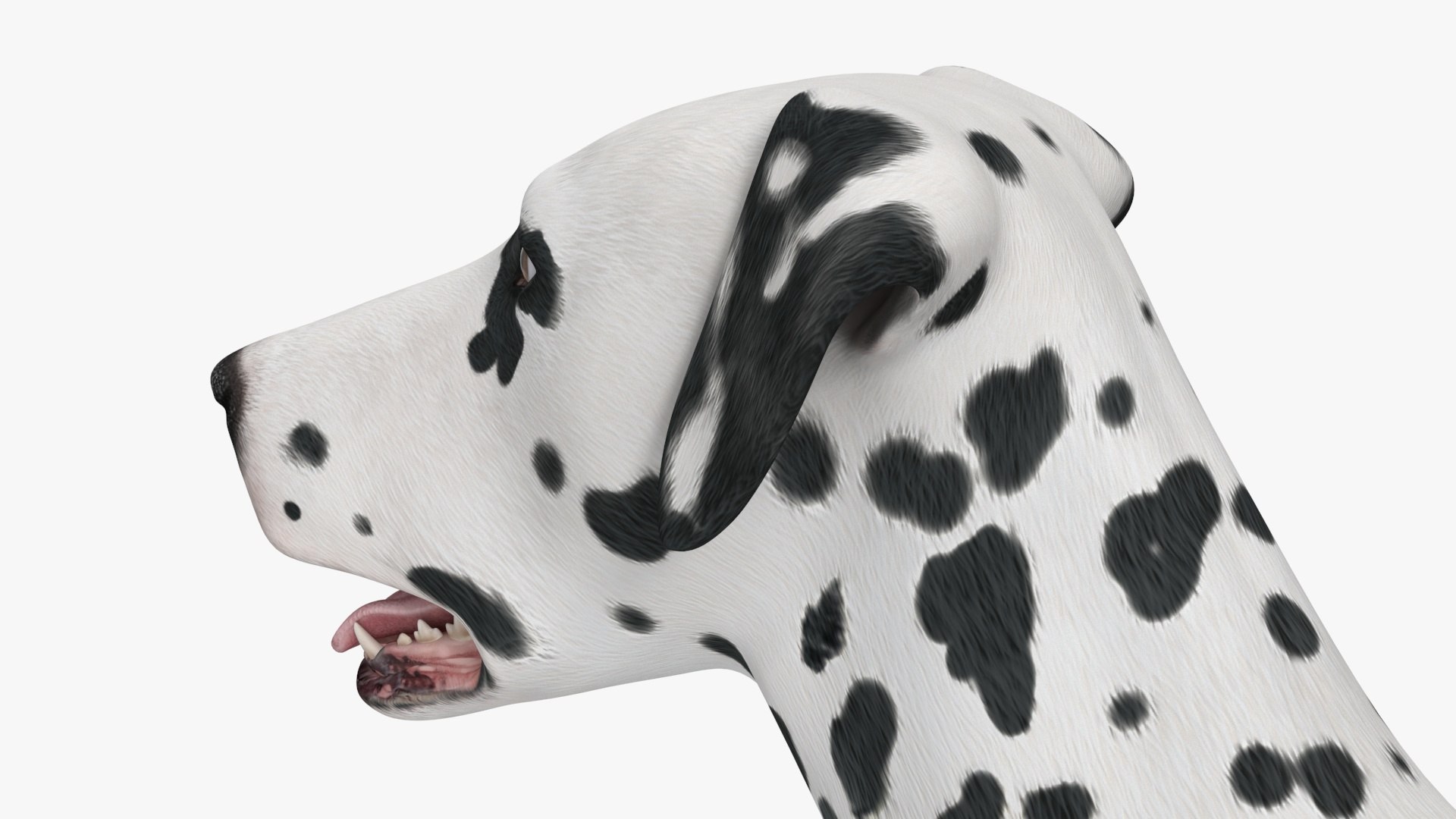 Dogs Collection 3D Model - TurboSquid 2249072