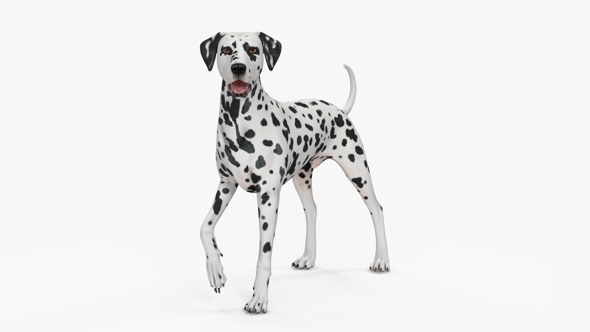 Dogs Collection 3D Model - TurboSquid 2249072