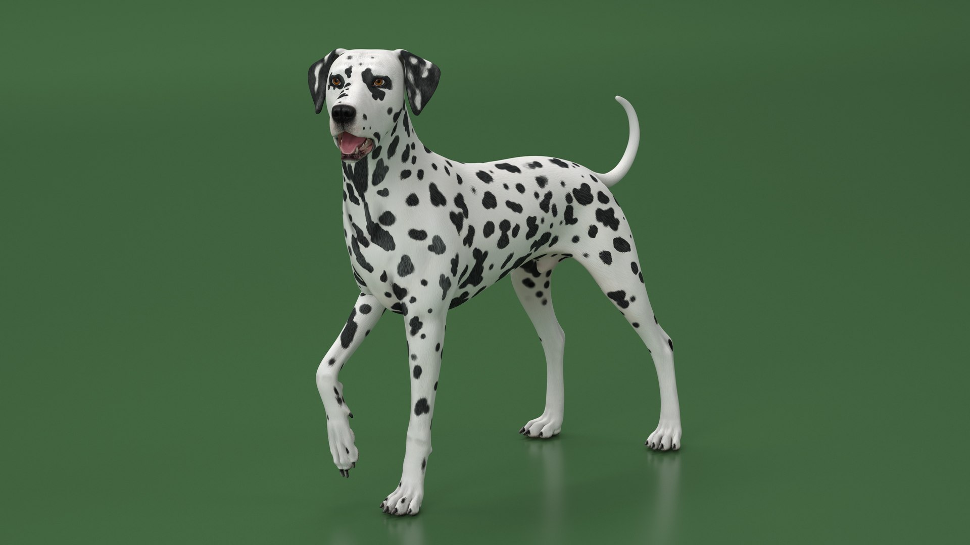 Dogs Collection 3D Model - TurboSquid 2249072