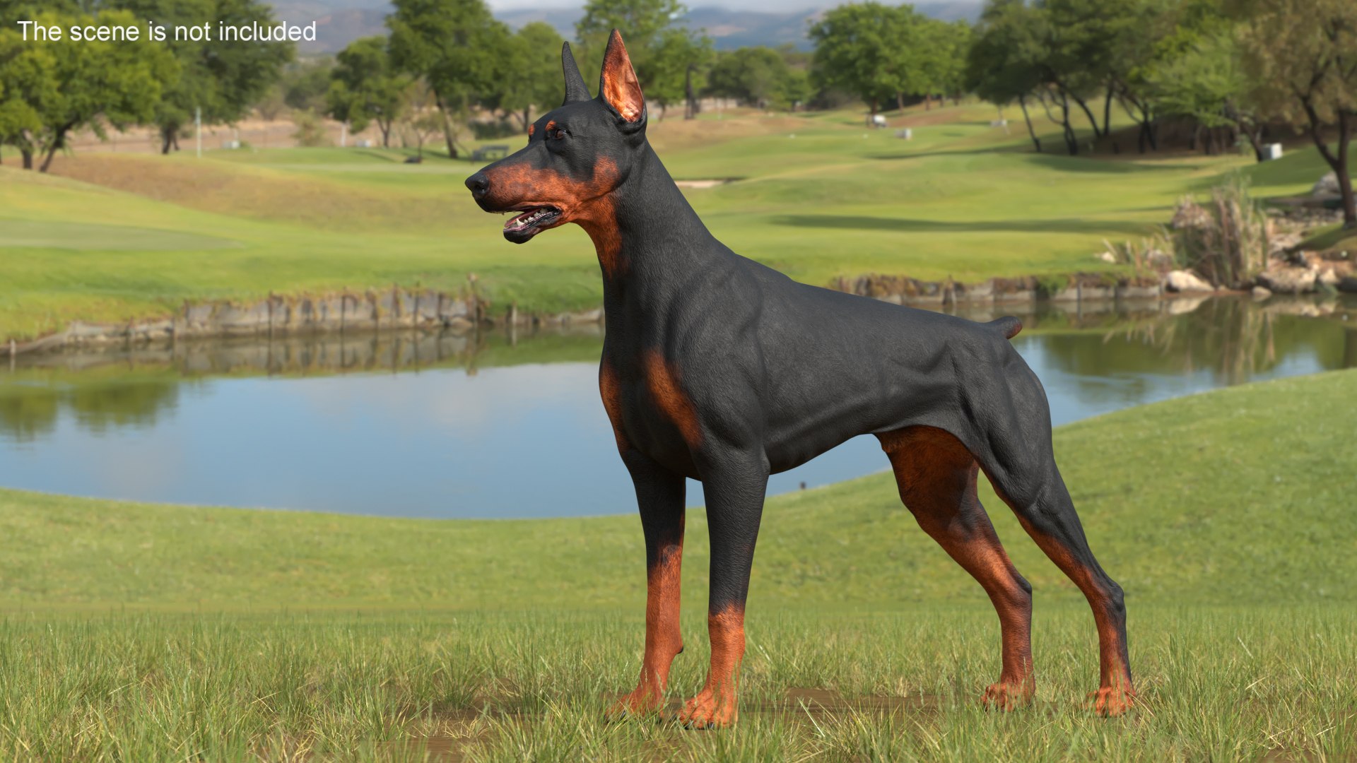 Dogs Collection 3D Model - TurboSquid 2249072