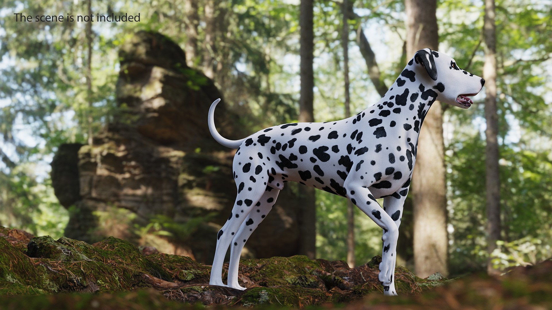 Dogs Collection 3D Model - TurboSquid 2249072
