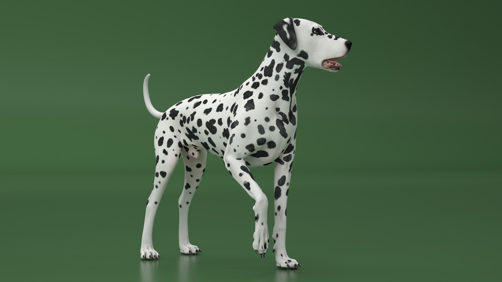 Dogs Collection 3D Model - TurboSquid 2249072