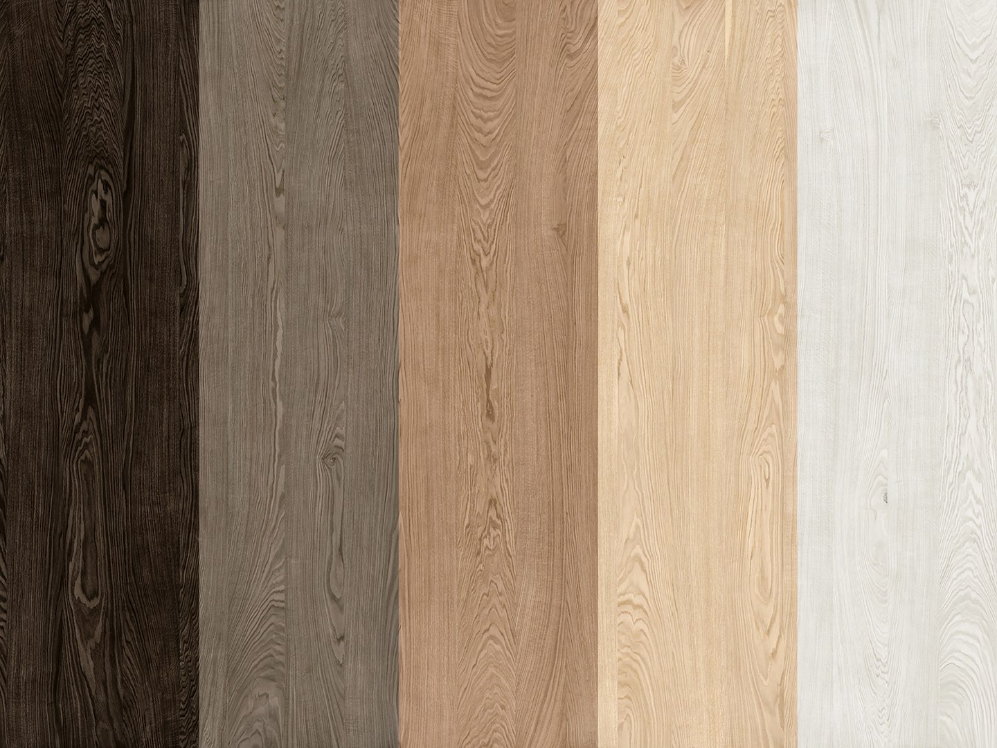 European White Oak 01 Veneer 3D - TurboSquid 2166565