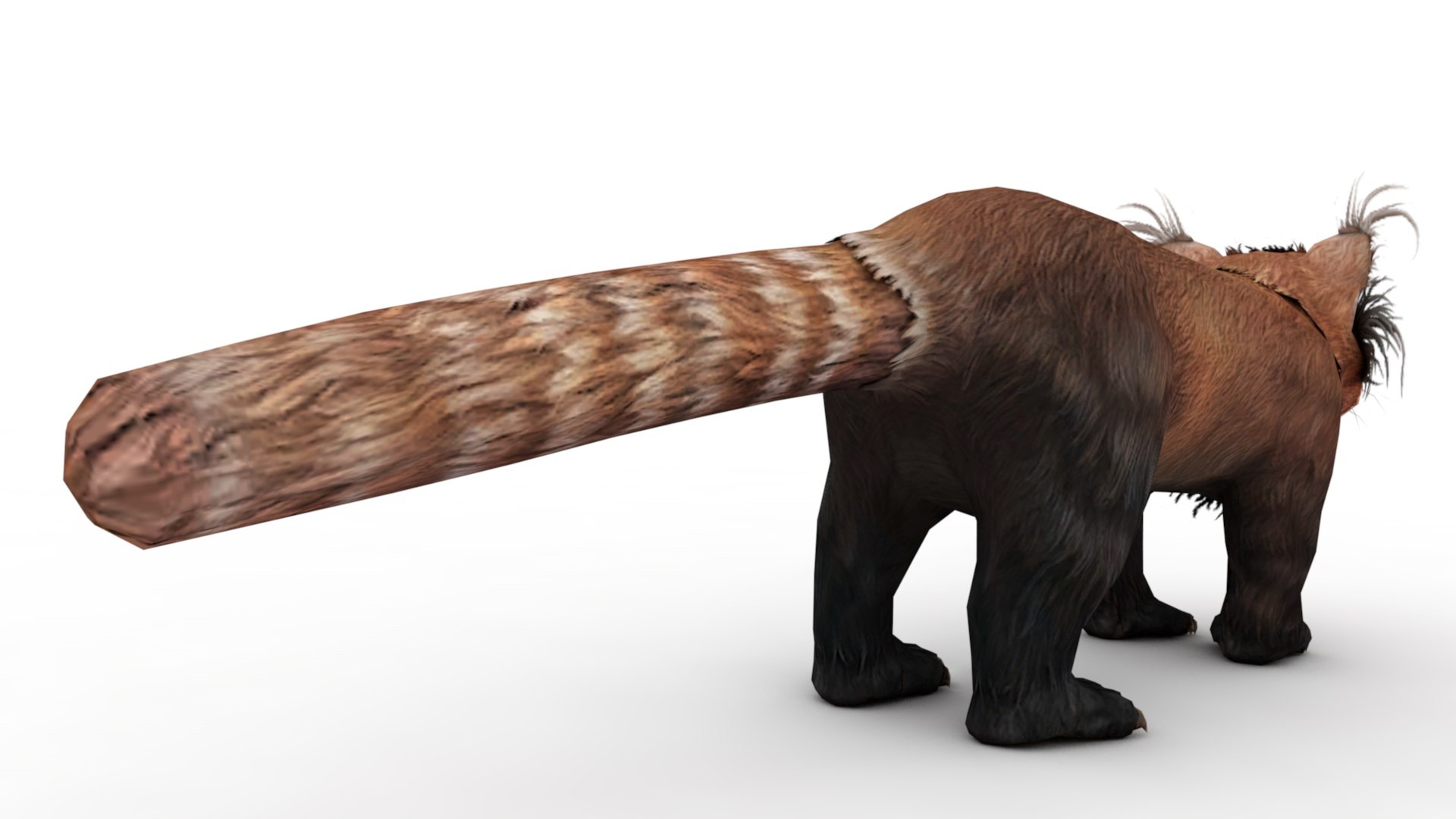 Red Panda Model - TurboSquid 1932190