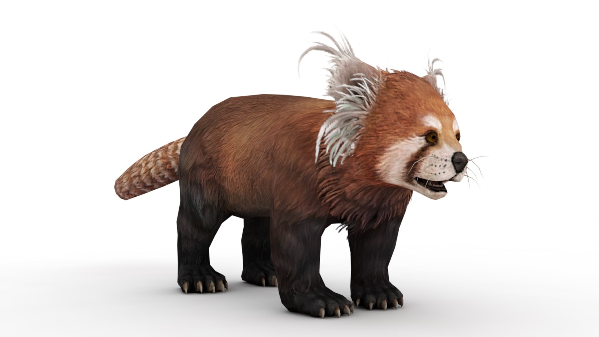 Red Panda Model - TurboSquid 1932190