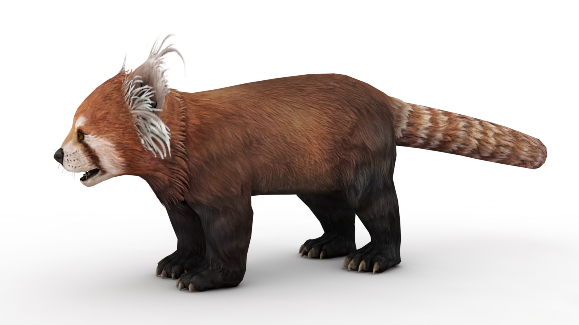 Red Panda Model - TurboSquid 1932190