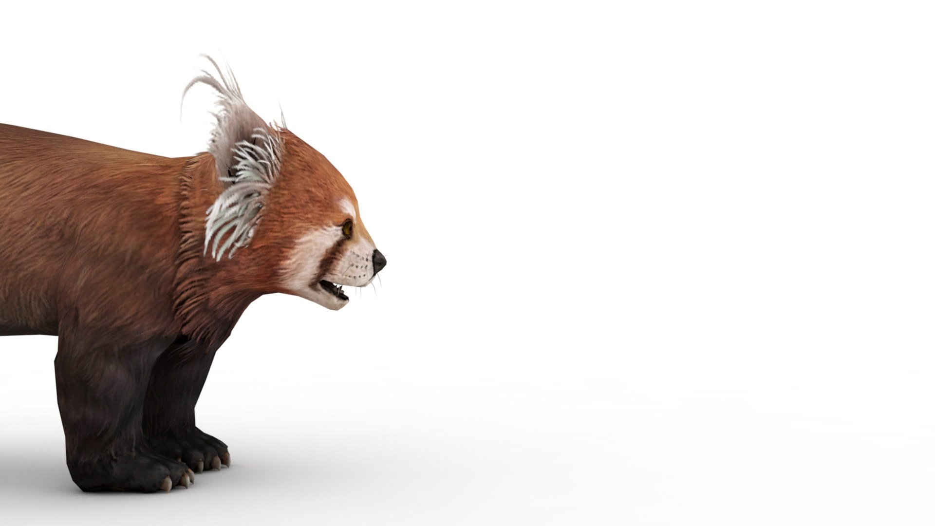 Red Panda Model - TurboSquid 1932190