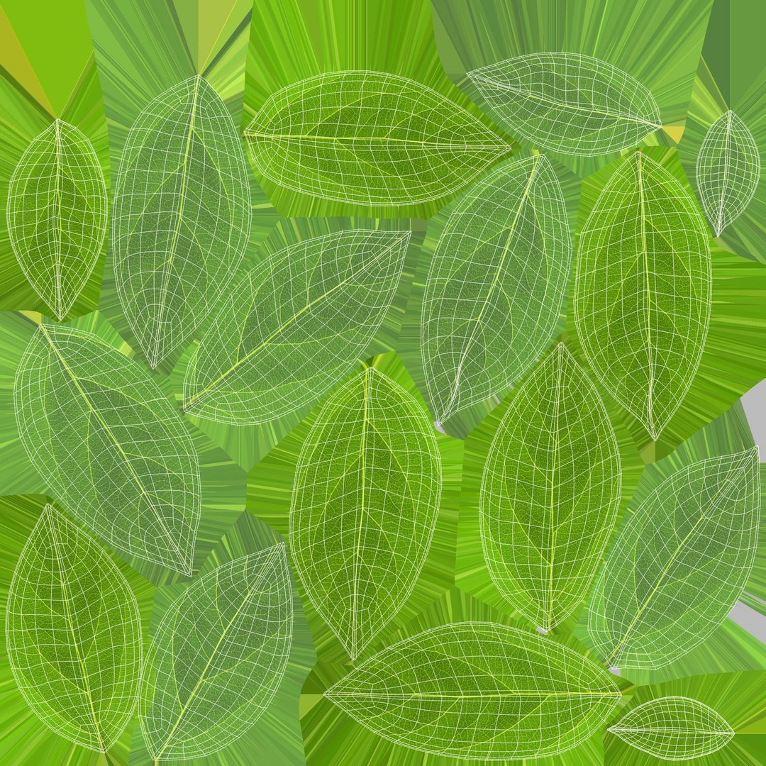 3D Model Branch Leaves - TurboSquid 1293814