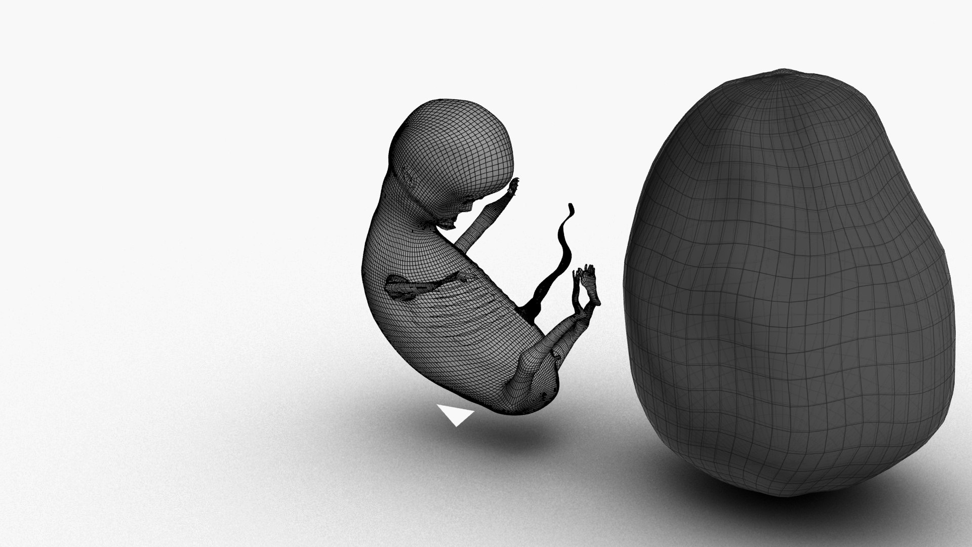 3D Model Fetus - TurboSquid 1961932