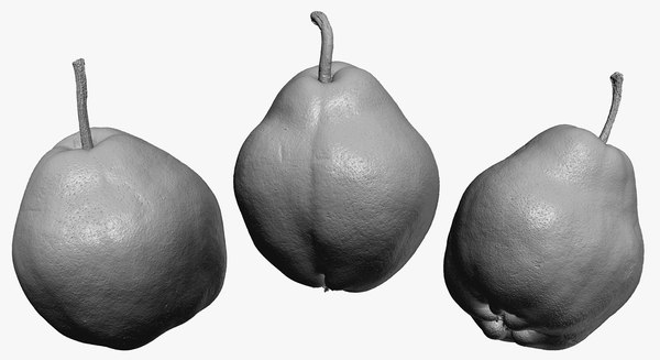 3D Pears Collection 02 - 5 models RAW Scans - TurboSquid 1830858