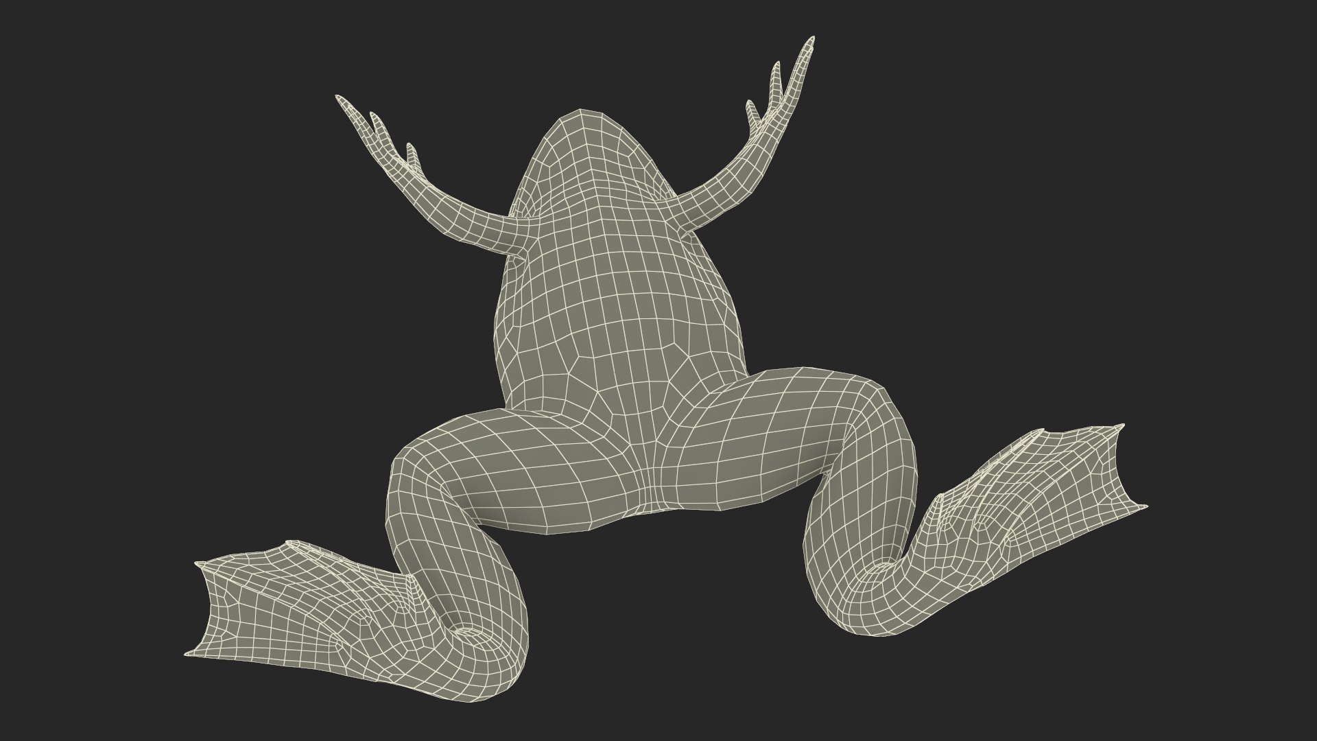 Xenopus African Clawed Toad Standard Pose model - TurboSquid 2133296