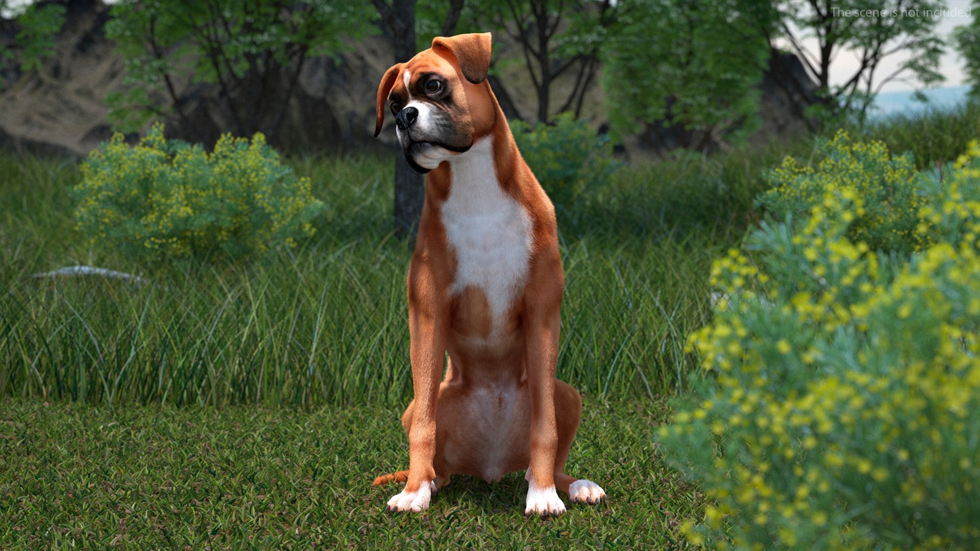 3D Model Sitting Dog Boxer Fur - TurboSquid 2250229