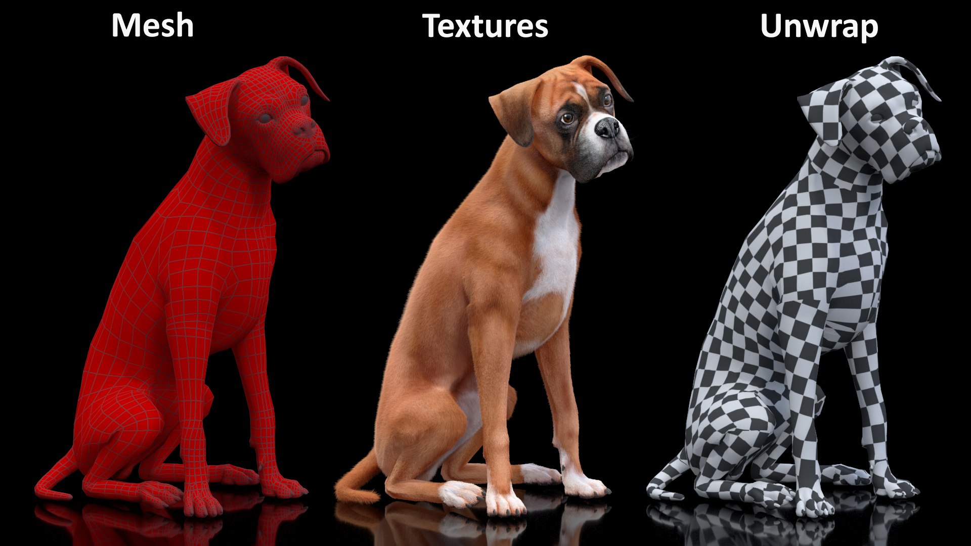 3D Model Sitting Dog Boxer Fur - TurboSquid 2250229