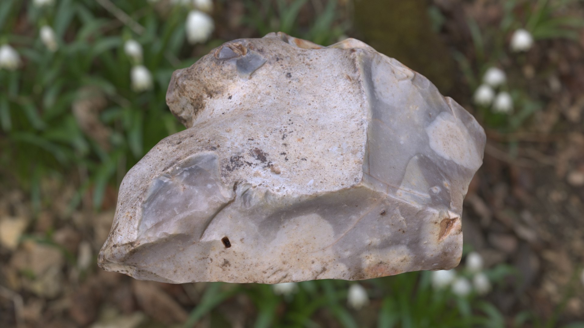 Flint Rock 3D Model - TurboSquid 1743236