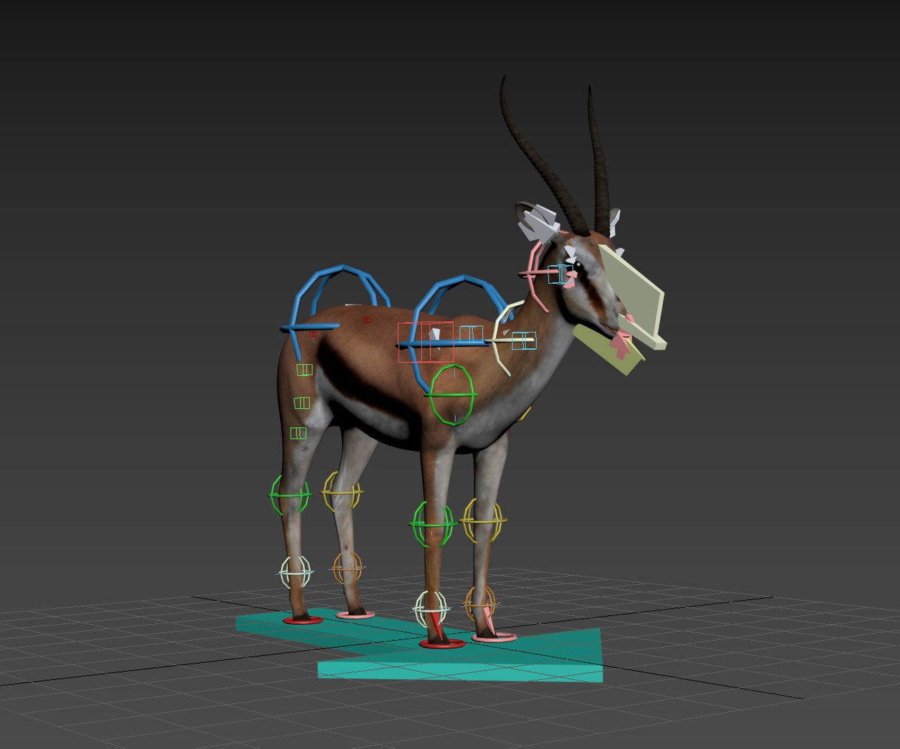 3D gazelle animation rig model - TurboSquid 1439008