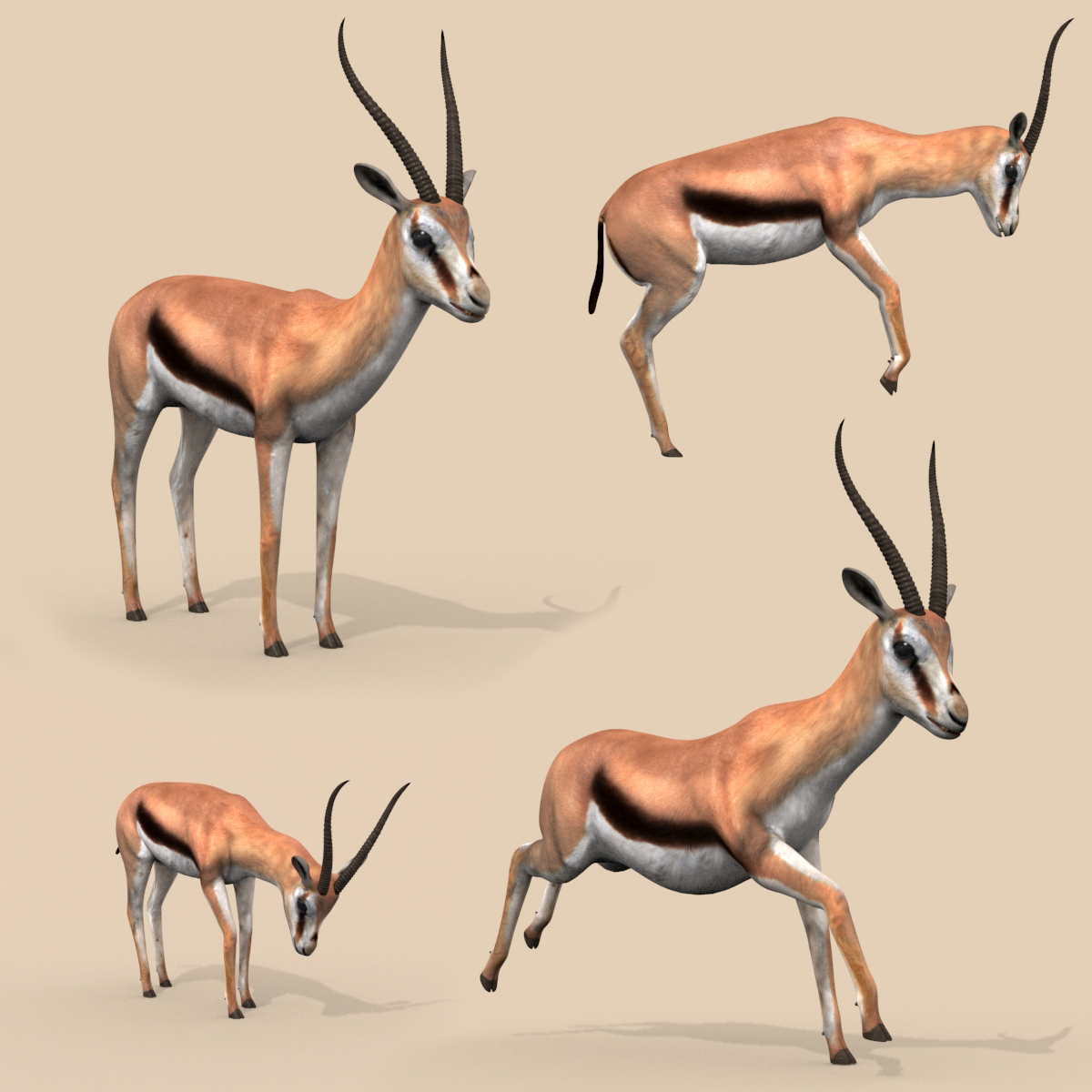 3D gazelle animation rig model - TurboSquid 1439008