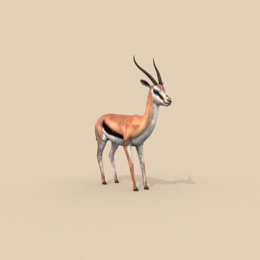 3D Gazelle Animation Rig Model - TurboSquid 1439008