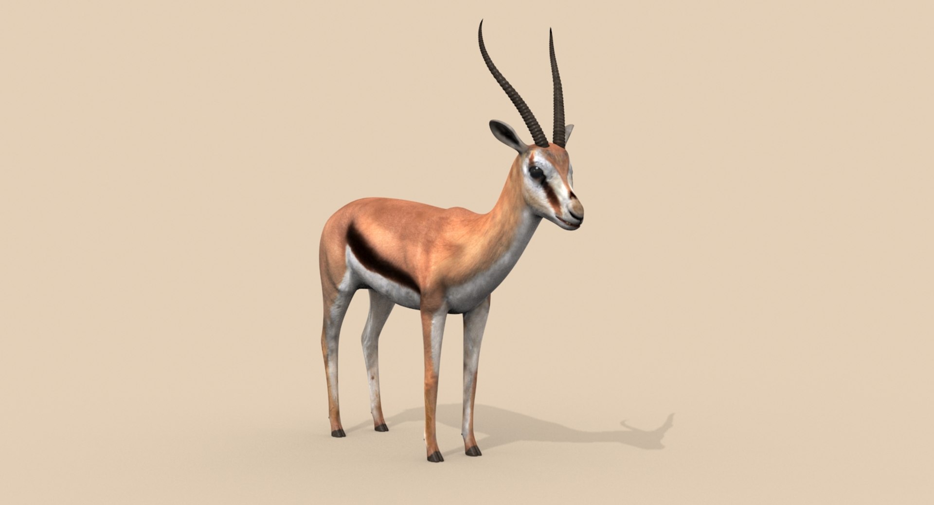 3D gazelle animation rig model - TurboSquid 1439008