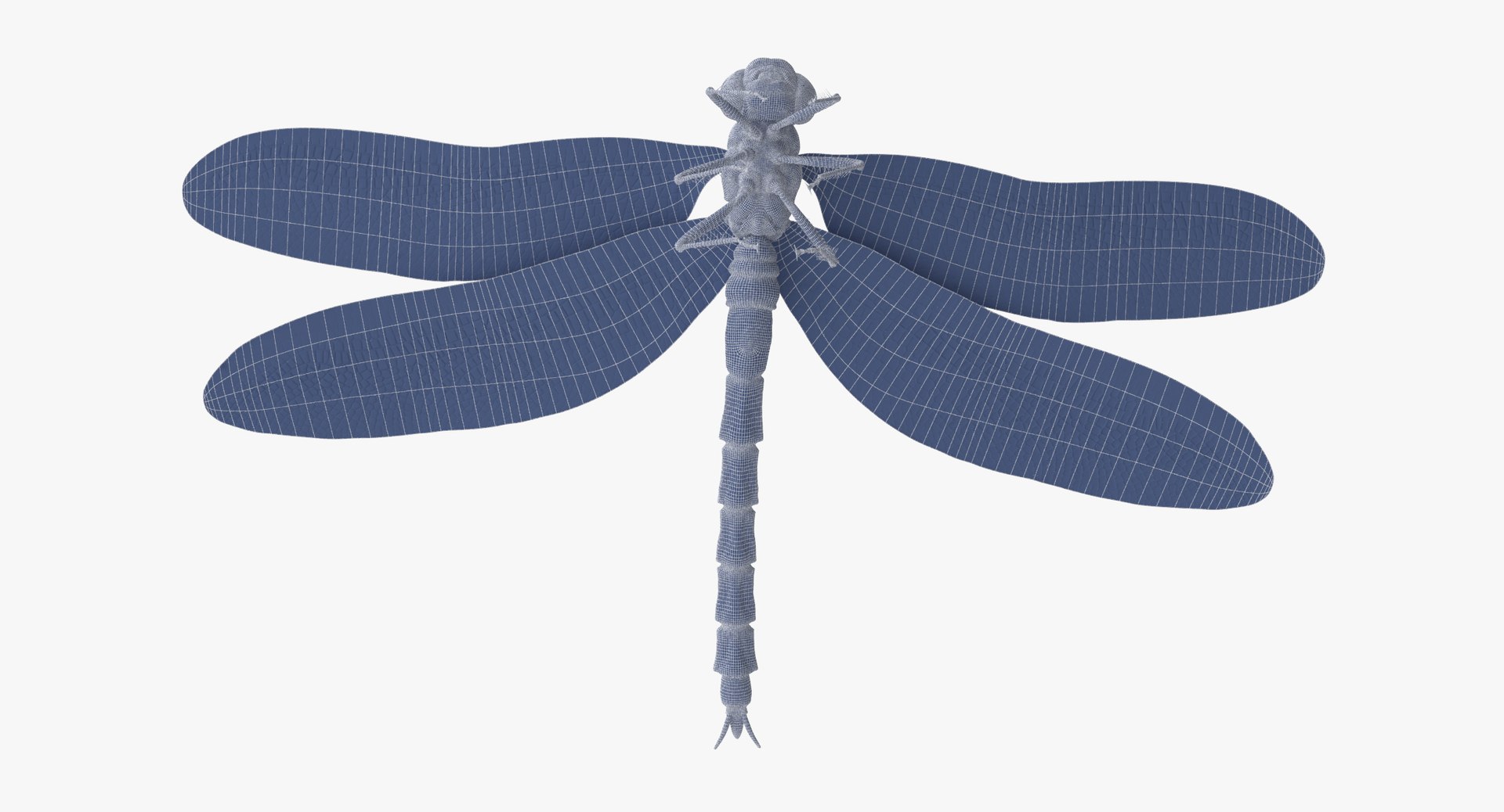 3d Dragonfly 3 Poses Model