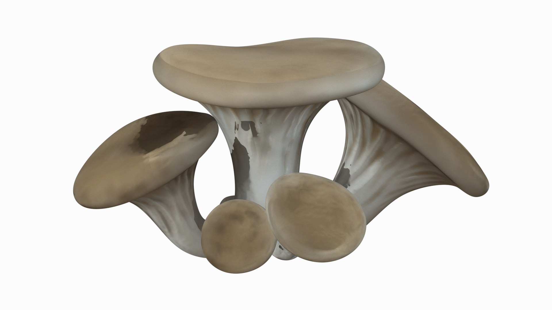 3D Model Oyster - TurboSquid 1957897