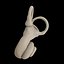 C4d Inner Ear Labyrinth