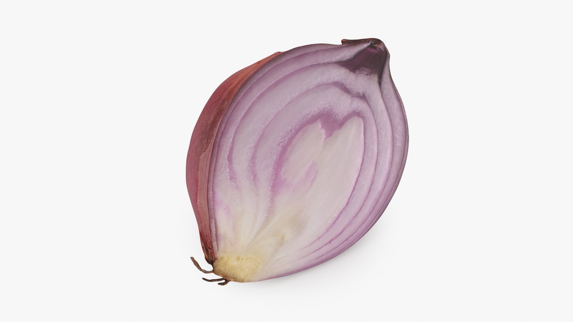 Red Onion Half Model - TurboSquid 2181668