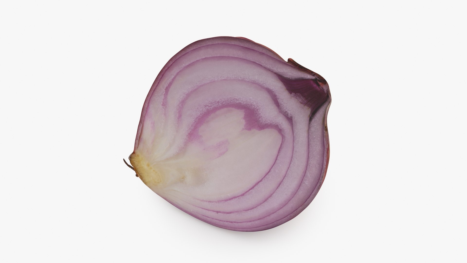 Red Onion Half Model - TurboSquid 2181668