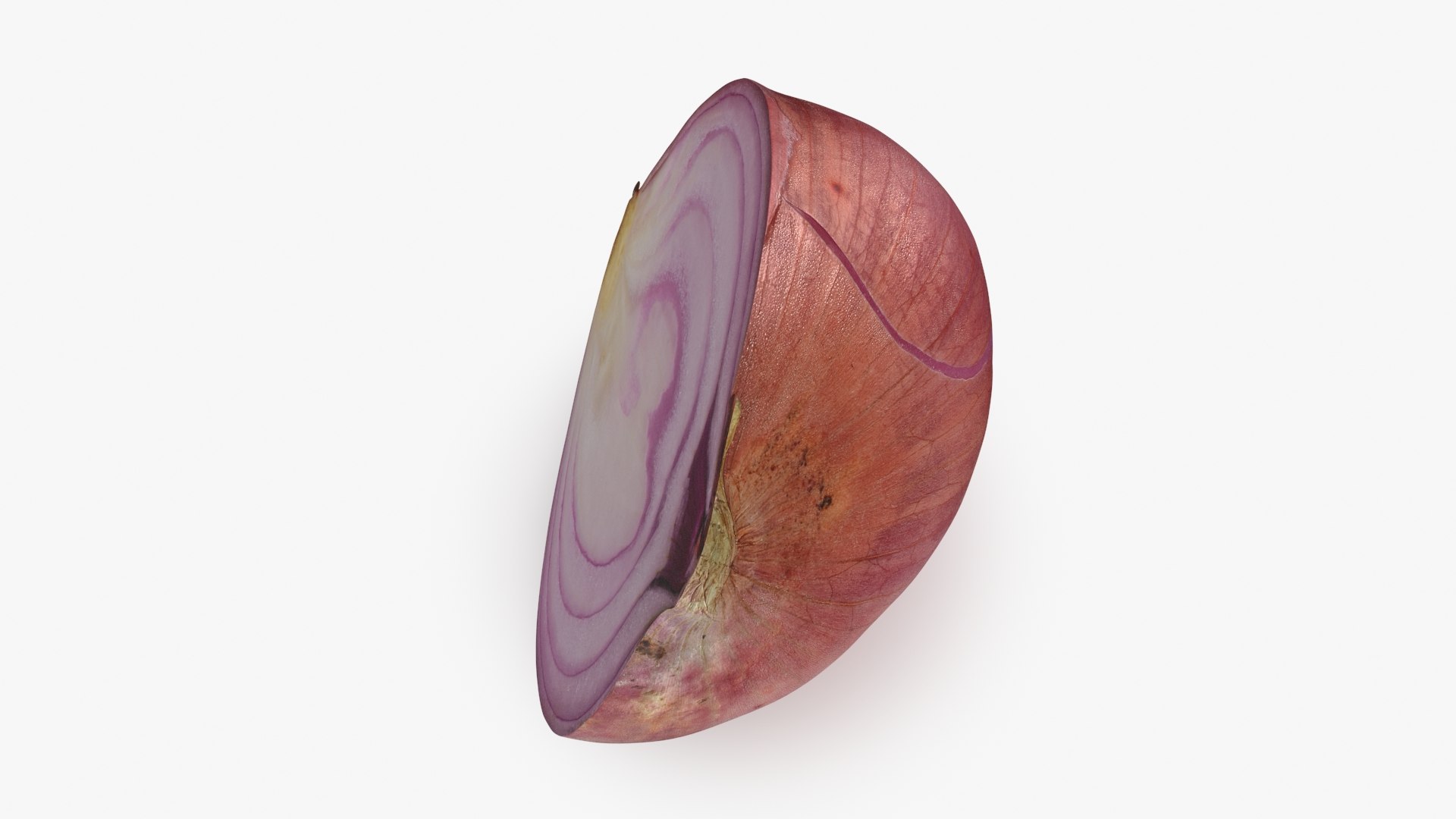 Red Onion Half Model - TurboSquid 2181668