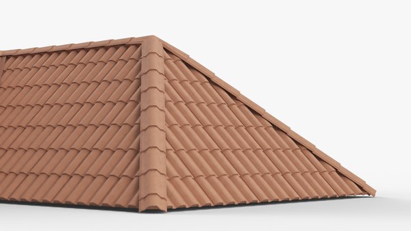 골판지 지붕 구조 테라코타 3D 모델 - TurboSquid 2371694