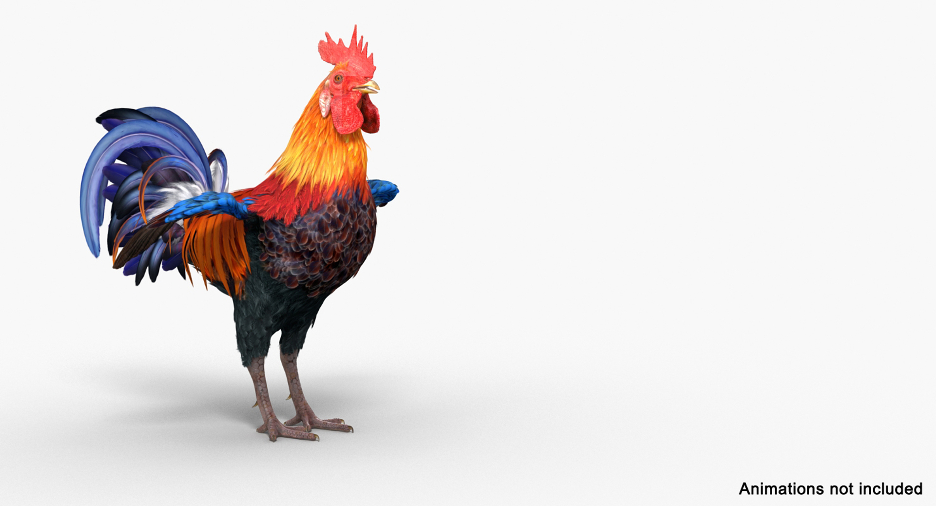 3d Rooster Rigged