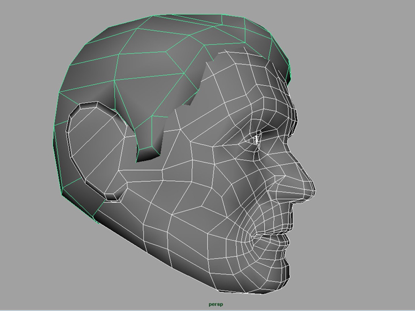 3ds max faces